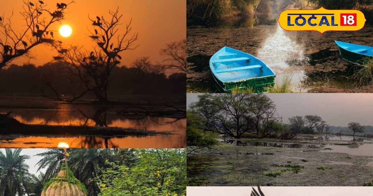 Keoladeo National Park Photo Points | Bharatpur Bird Sanctuary ...