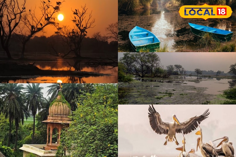Keoladeo National Park Photo Points | Bharatpur Bird Sanctuary ...