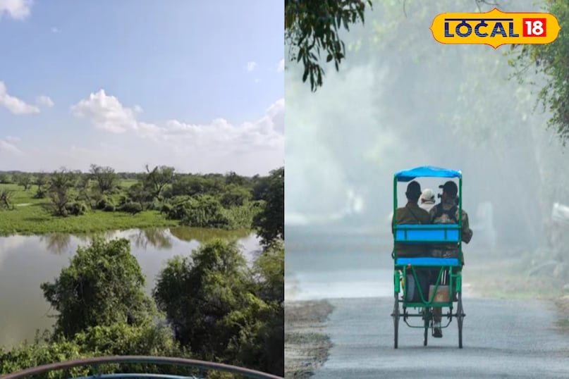 Keoladeo National Park Photo Points | Bharatpur Bird Sanctuary ...