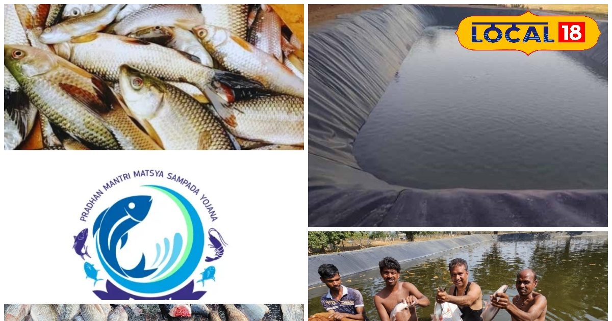 PHOTOS: Modern technology changes the fate of a rural youth, earning ...