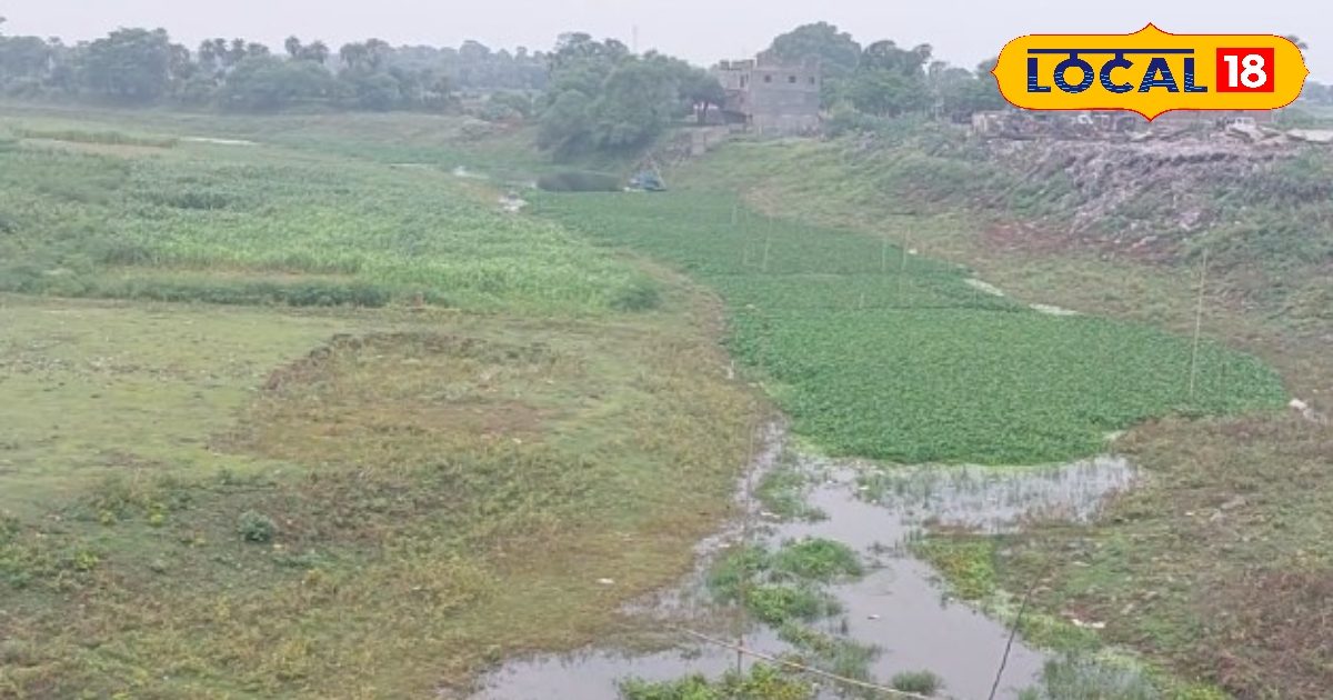 Champa river research in Bhagalpur reveals toxic water truth