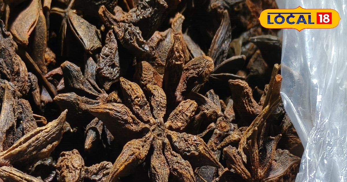Chakra phool or Star anise Benefits: चक्र फूल मसाला सेहत का खजाना ...