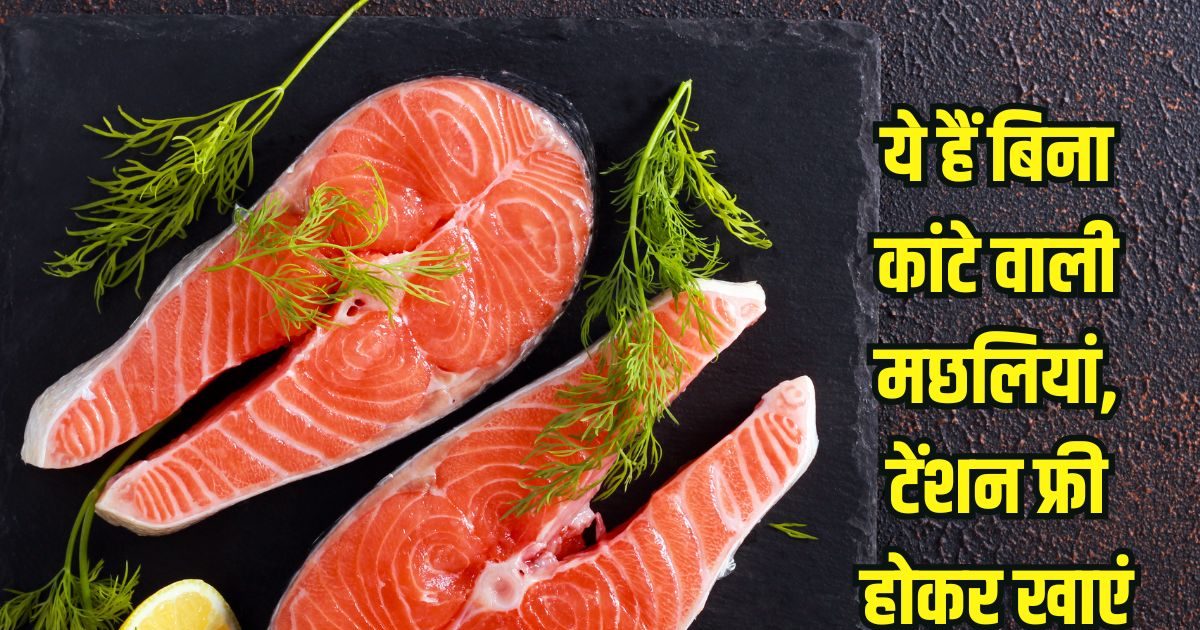 9 Fish without kanta: ये हैं बिना कांटे वाली 9 मछलियां, खाएं टेंशन फ्री ...