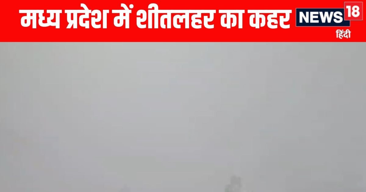 LIVE: कोहरे की मार झेल रहे एमपी के प्रमुख शहर, 20 जनवरी के बाद बदलेंगे ...