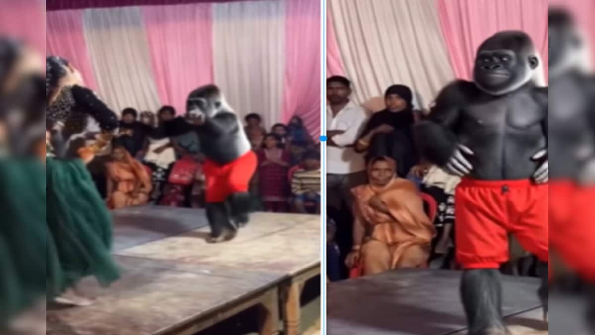 Orchestra वाली को देख स्टेज पर आया 'गोरिल्ला', Luta Ae Raja पर दिखाए ...
