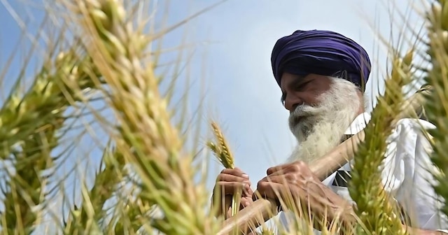 India US Trade Deal: अमेरिका के साथ खेती और डेयरी को लेकर क्या हुई डील ...