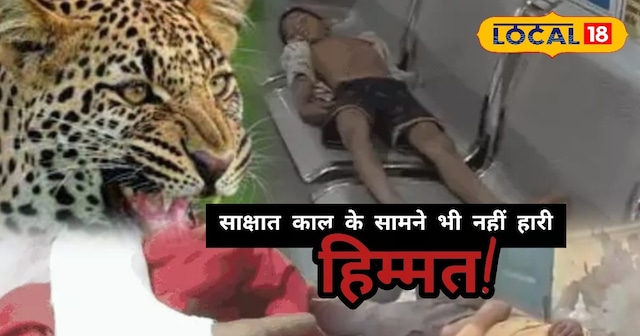 Pali News : पहाड़ी की ओट में घात लगाए बैठा लेपर्ड, 12 साल के मासूम पर ...