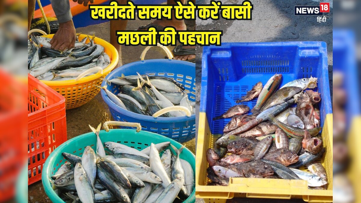 How to buy fresh fish: खरीदते समय ऐसे करें बासी मछली की पहचान, फिश में ...