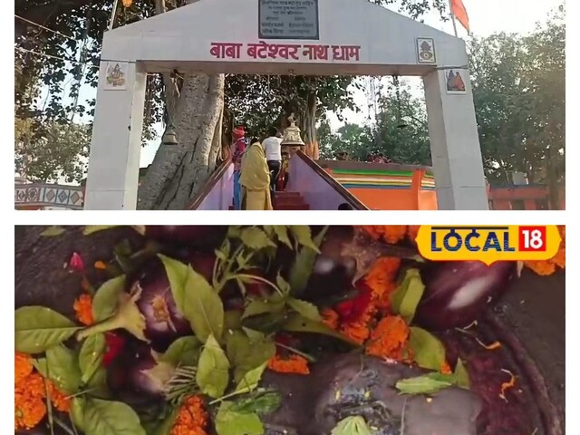 Vaishali Baba Bateshwar Nath Dham offers baingan to mahadev - News18 हिंदी