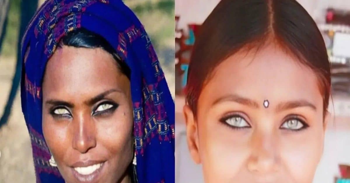 कौन है Pappu Devi? 20 साल पुरानी तस्वीर हुई ताजा, आज क्या कर रही बाघिन ...
