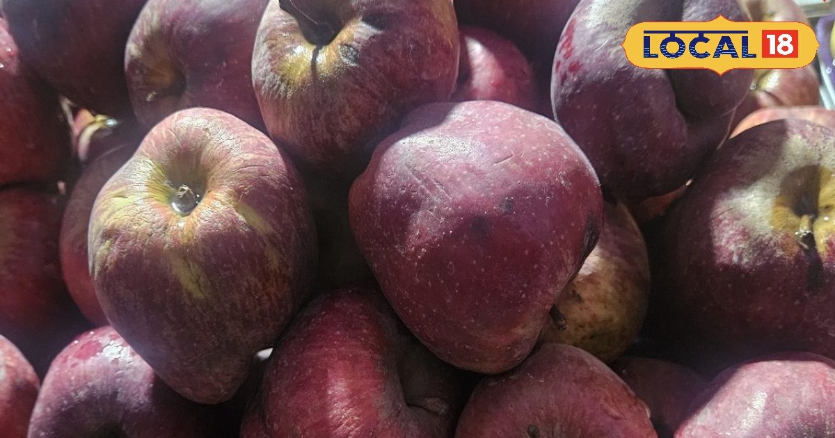 Is Apple Good For Everyone | Benefits and Risks of Apple | सेब खाने के ...
