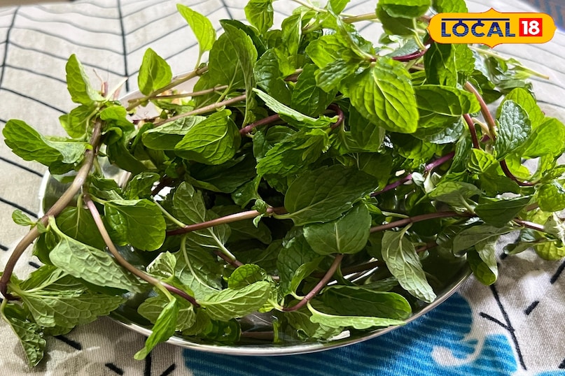 Kitchen Hacks | How to Keep Mint Fresh For Longer | पुदीना स्टोर करने ...