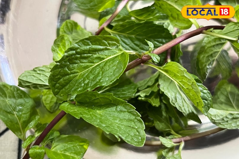 Kitchen Hacks | How to Keep Mint Fresh For Longer | पुदीना स्टोर करने ...