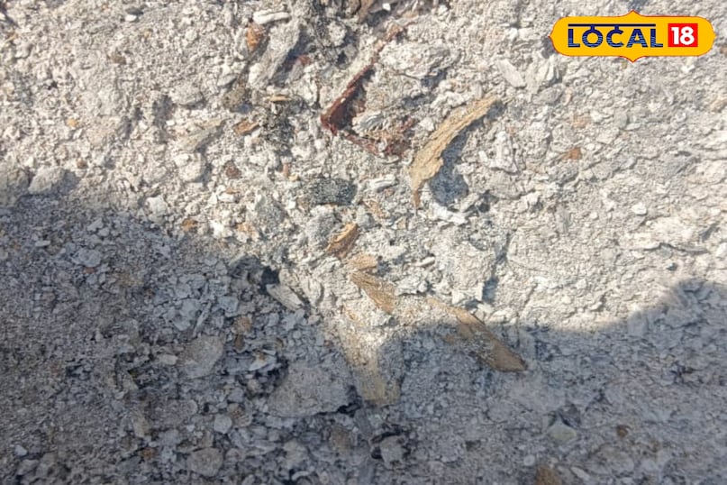 Uses Of Wood Ash | Lakdi Ki Rakh Ke Use | Wood Ash Uses | लकड़ी से ...