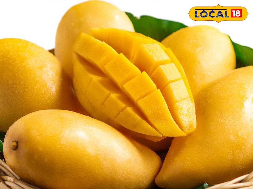 Mango Species: किसी का नाम ‘लंगड़ा’ तो कोई कहलाया ‘तोतापरी’, जानिए आमों ...