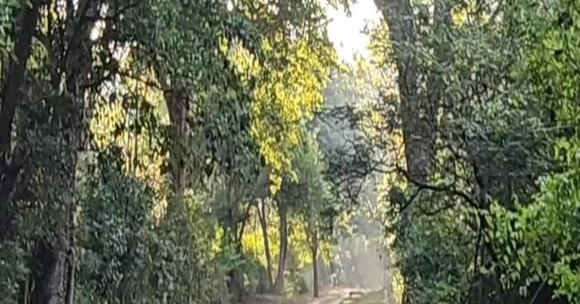 गढ़वाल-कुमाऊं की दूरी होगी कम! कंडी मार्ग को मिली रफ्तार, अनिल बलूनी ने ...