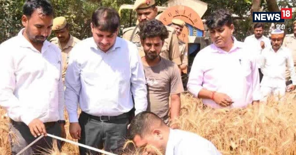 UPSC Topper Story| IAS Story: हंसिया लेकर खेत में गेहूं काटने वाले ये ...