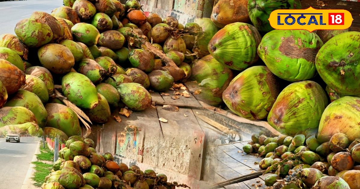 Coconut Water Price | भरतपुर में नारियल पानी की मांग | Kerala Coconut ...