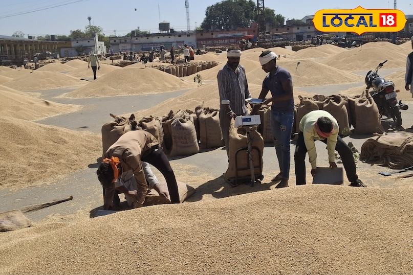 Jeera Mandi Price: अमेरिका-ईरान तनाव का सीधा असर! सांचौर में जीरे के ...
