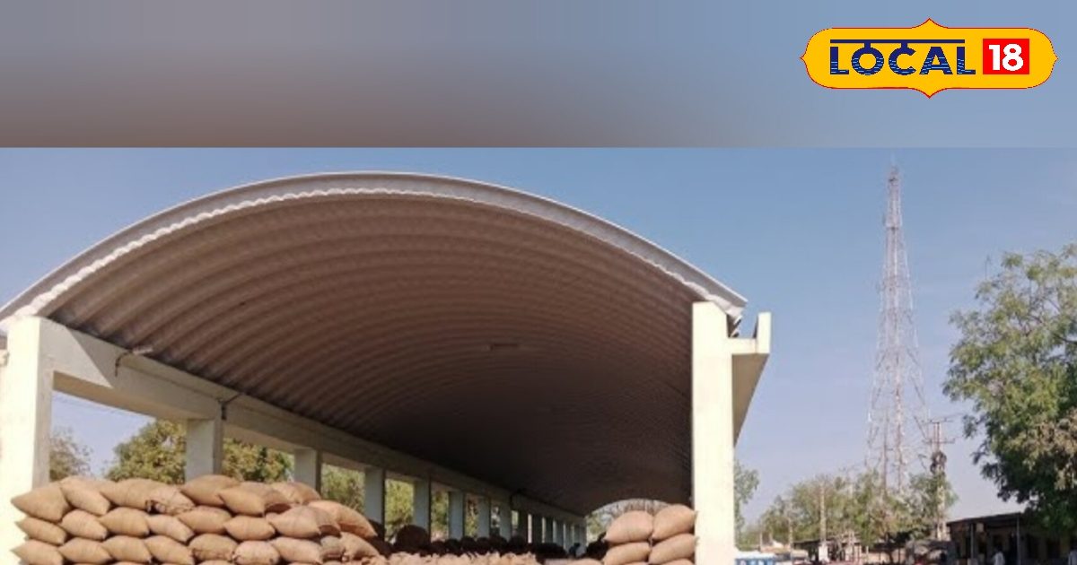 Jeera Mandi Price: अमेरिका-ईरान तनाव का सीधा असर! सांचौर में जीरे के ...