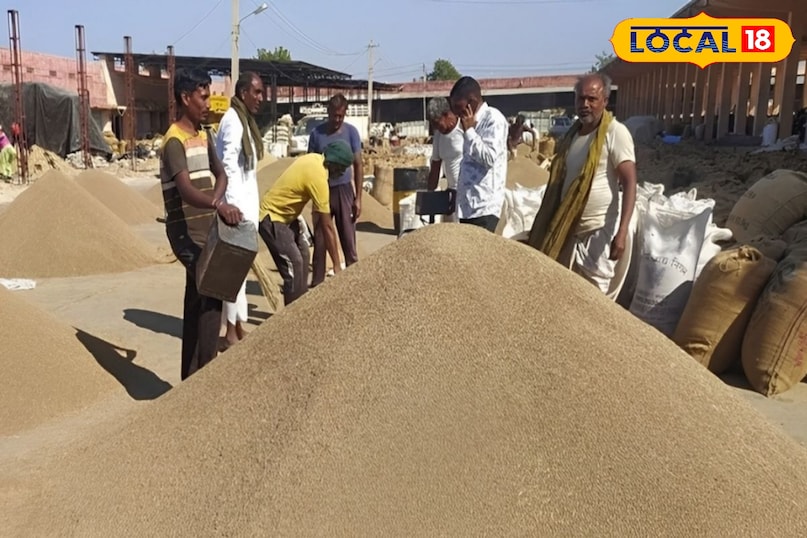 Jeera Mandi Price: अमेरिका-ईरान तनाव का सीधा असर! सांचौर में जीरे के ...