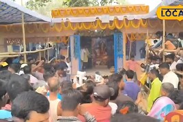 बुजुर्ग रिक्शा चालक ने पेश की इंसानियत की मिसाल, कुत्तों को बैठाकर ...