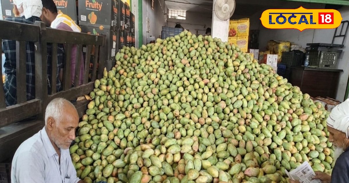Patna के बाजारों में दक्षिण भारत के आम की बहार, जानें तोतापरी से लेकर ...