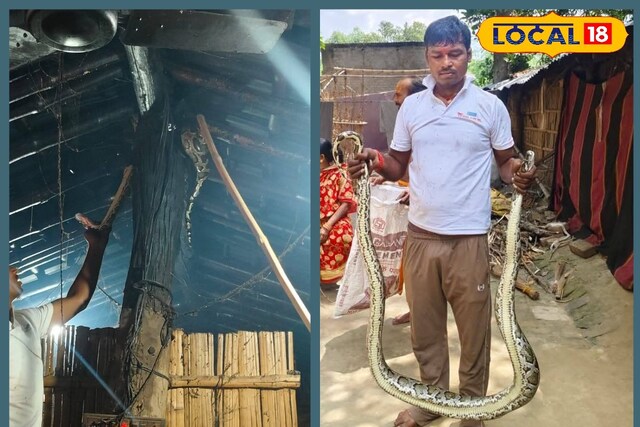 पंखे की कड़ी से लटका था 11 फीट लंबा अजगर, कमरे में घुस चुका था पुजारी ...
