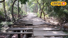 Zepto से आई पत्ता गोभी ने सोशल मीडिया पर मचाया हंगामा, शख्स बता रहा था ...