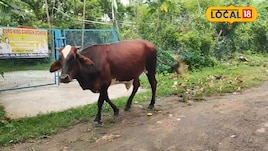 सड़कों पर दौड़ता दिखा AC ऑटो, अंदर के फीचर्स देखकर लोग हुए हैरान ...
