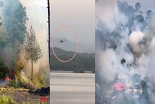 Forest Fire News in Hindi, Forest Fire Latest News, Forest Fire News
