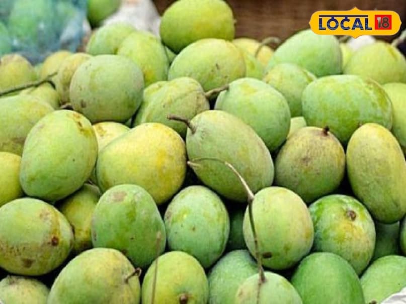 Mango Species: किसी का नाम ‘लंगड़ा’ तो कोई कहलाया ‘तोतापरी’, जानिए आमों ...