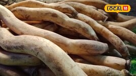 Ahmedabad Viman Hadsa: अहमदाबाद प्‍लेन क्रैश की Exclusive तस्‍वीर ...