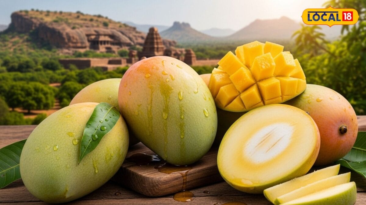 badami mango variety | famous mango varieties | आम का सीजन