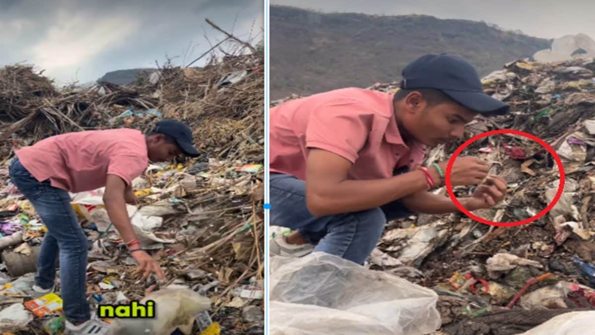कचरे के पहाड़ में 'खजाना' ढूंढने गया शख्स, मिली ऐसी-ऐसी चीजें, कबाड़ ने ...