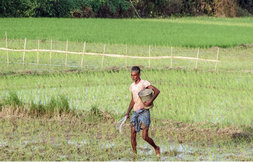 Monsoon News | El Nino Impact on Monsoon: जून जा रहा सूखा, क्या जुलाई ...
