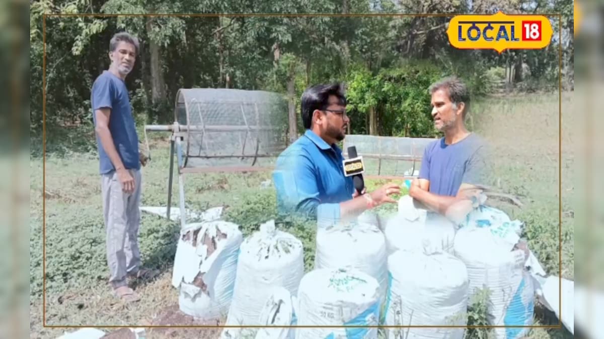 sikkim vermicompost idea hits in darbhanga farmer aditya earning double ...
