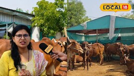 UP Police Bharti : 900 से अधिक SI, ASI भर्ती के लिए आवेदन कल से, जानें ...