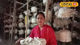 Jammu Ronisha Satti Case News: प्यार, धोखा और ट्रोलिंग! जम्मू की सोशल ...