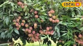 पहलगाम आतंकी हमले में NIA आज दाखिल करेगी चार्जशीट, पाकिस्तानी कनेक्शन ...
