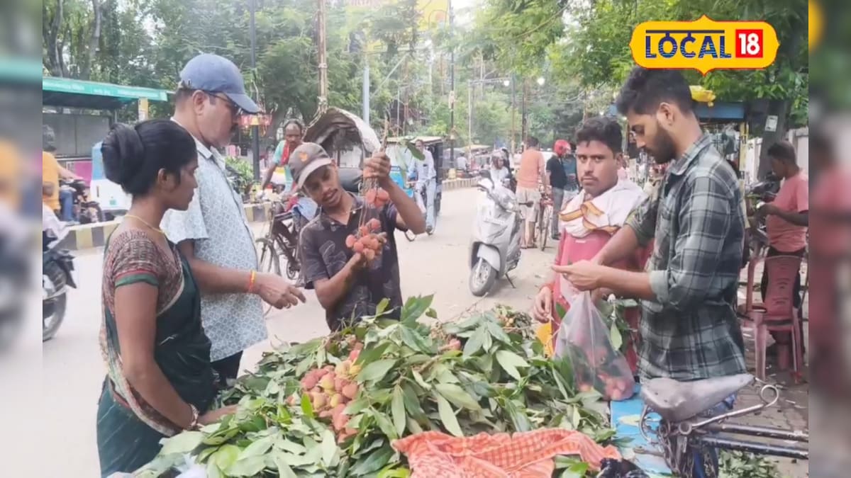 muzaffarpur shahi litchi price 12 times costlier than cashew