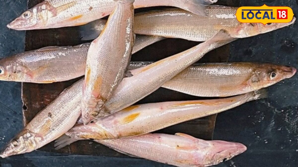 fresh Fish | fish buying tips | tips and tricks | food safety tips ...