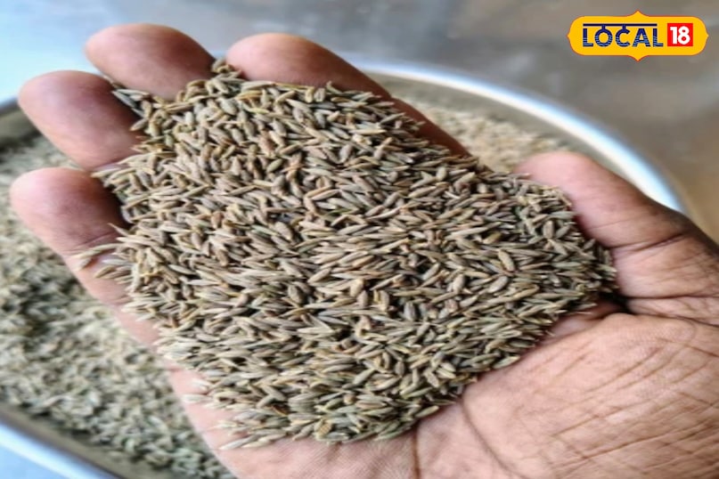 Tips To Storage Jeera I जानिए मानसून में जीरा भंडारण के आसान उपाय I ...
