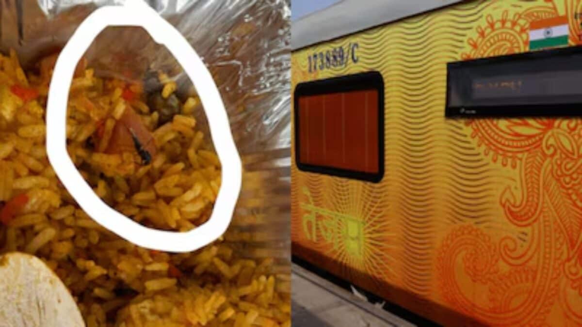 तेजस एक्सप्रेस में खाने से निकली मक्खी, मचा हड़कंप, रेलवे ने वेंडर पर ...