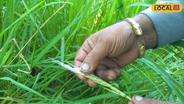 Sundha Parvat I jalore news I Rajasthan news I सुंधा पर्वत से महाराणा ...