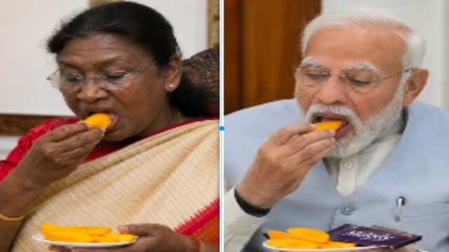वो आम, जिसकी नहीं होती बिक्री, राष्ट्रपति को किया जाता है गिफ्ट, चटकारे ...