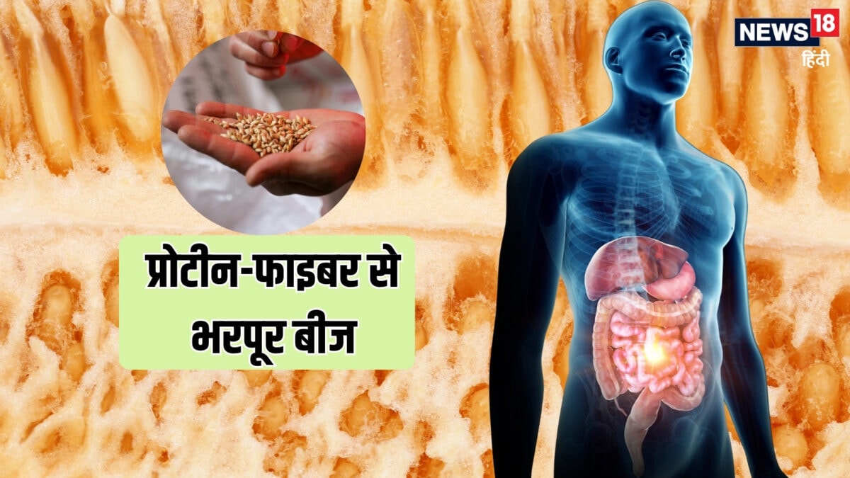 प्रोटीन-फाइबर से भरपूर इस फल के बीज, खाने से मिलते हैं कमाल के फायदे ...