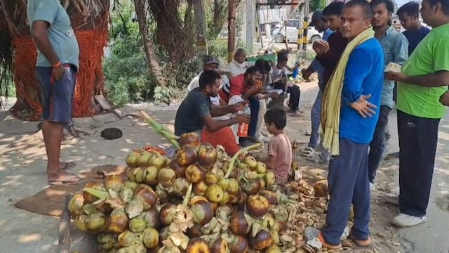 गर्मी भगाने वाला चमत्कारी 'आइस एप्पल', इस फल के आगे नारियल पानी भी फेल ...