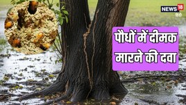 'अनुपमा' की काव्या शादी के 4 साल बाद भी मां बनने को नहीं है तैयार ...