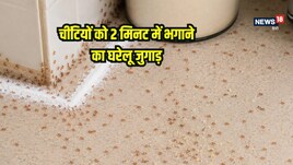 दिल्ली की इन 5 मार्केट्स में मिल रहे ट्रेंडी कॉटन कुर्ता सेट्स, कीमत और ...